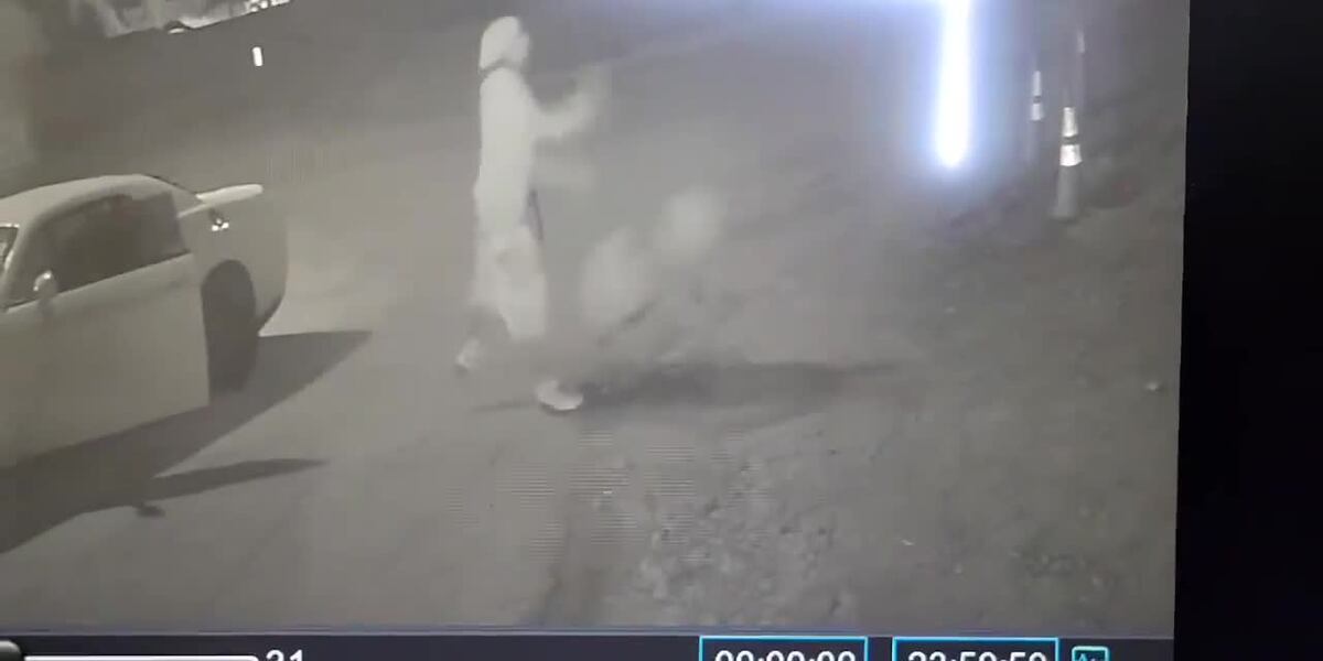 Warning: Video shows man throwing dog in Evansville Warning: Video shows man throwing dog in Evansville